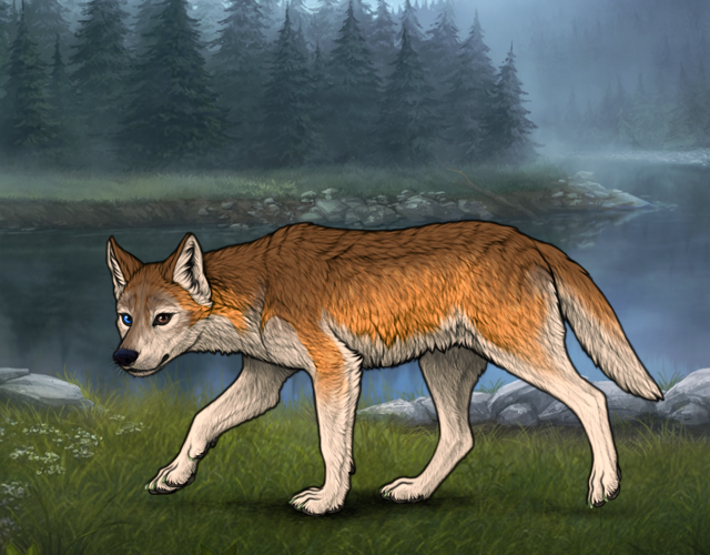 Acanthite | 5M | T2 |:| Wolvden