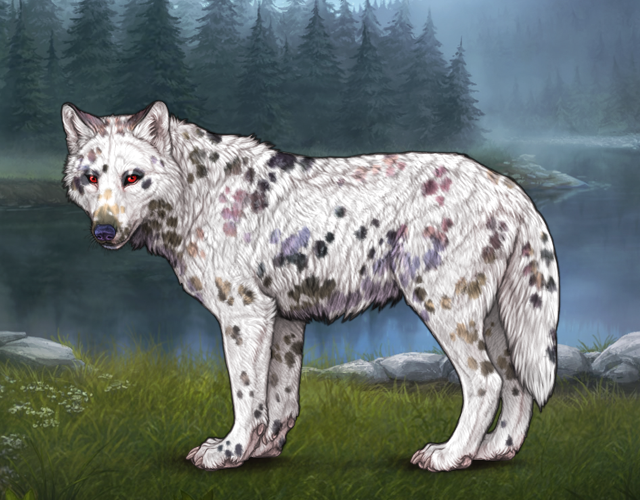 Casper|G6|T1 |:| Wolvden