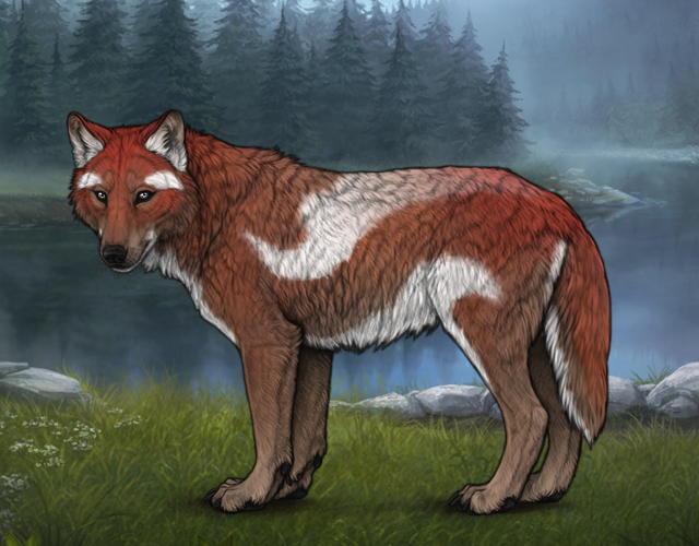 R&C - ♡ |:| Wolvden