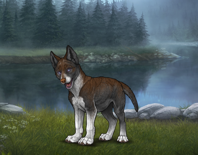 T2 chased 4m |:| Wolvden