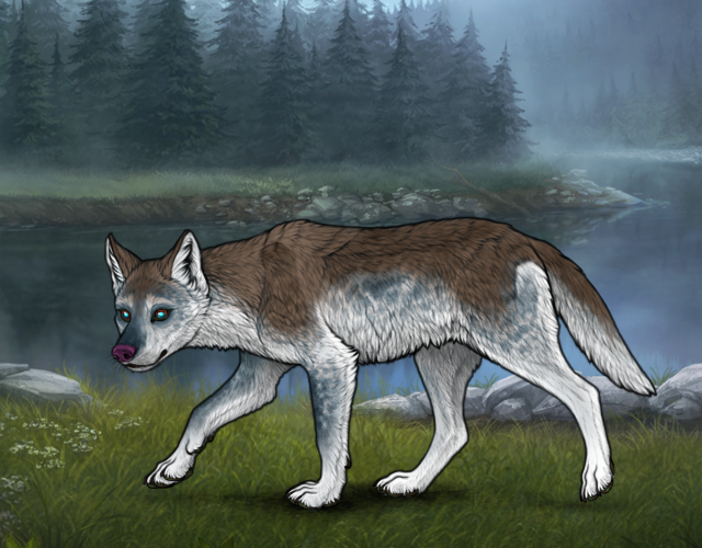 xanthic 5M 660s |:| Wolvden