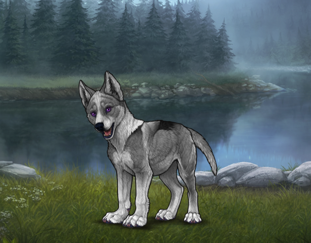 husky eye |:| Wolvden