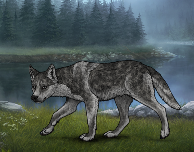 Maybe keep |:| Wolvden