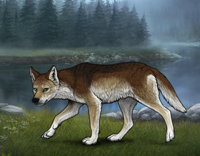 Berry x Sonar |:| Wolvden