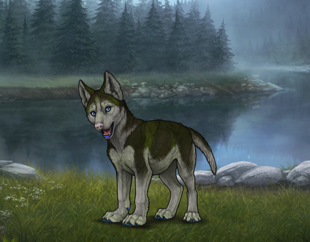 White tail |:| Wolvden