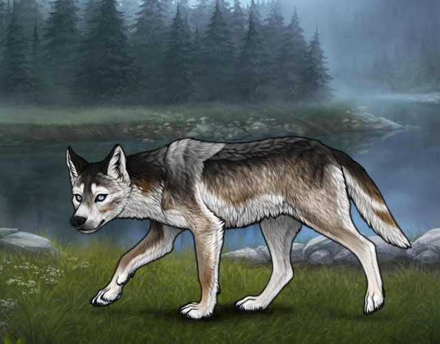 G3 T2 8m Husky Eye Raffle |:| Wolvden