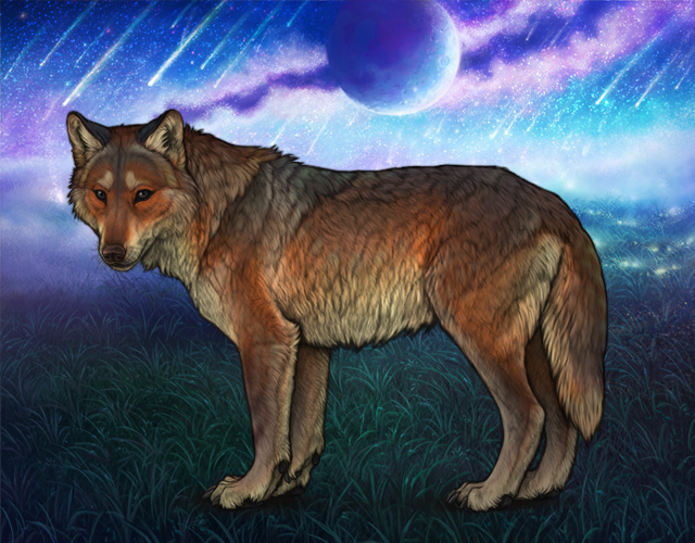 🌊 Pyre |:| Wolvden