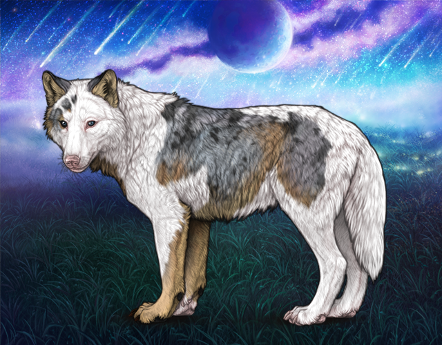 Iridium Storm Dip III |:| Wolvden