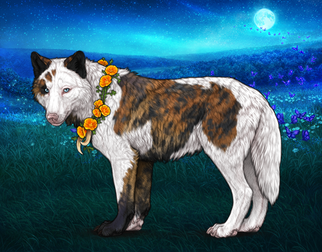 Get to know Wolvden! |:| Wolvden