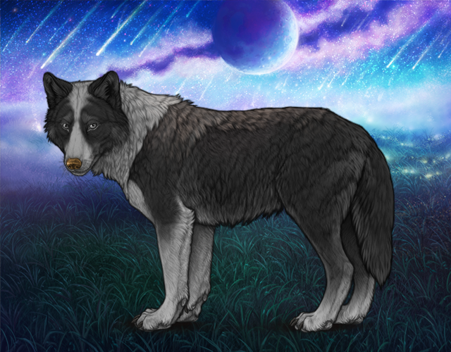 New Runt Puppy |:| Wolvden