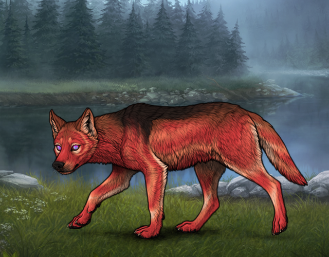 Chased Wolf Spotting - Revamped |:| Wolvden