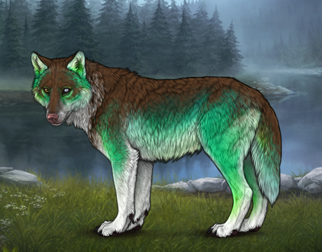 Chased Wolf Spotting - Revamped |:| Wolvden