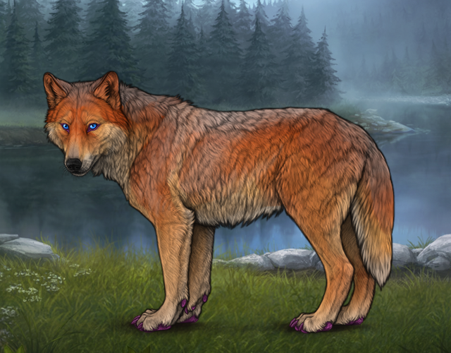 G1 | T3 5m |:| Wolvden