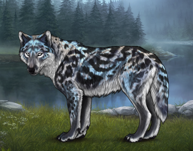 Chased Wolf Spotting - Revamped |:| Wolvden