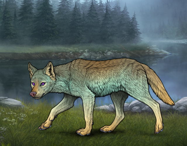 Chased Wolf Spotting - Revamped |:| Wolvden
