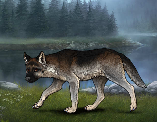 New Runt Puppy |:| Wolvden