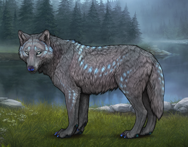 Chased Wolf Spotting - Revamped |:| Wolvden