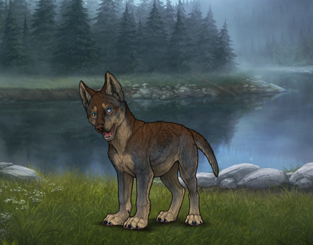 Gray Darker ALL White |:| Wolvden