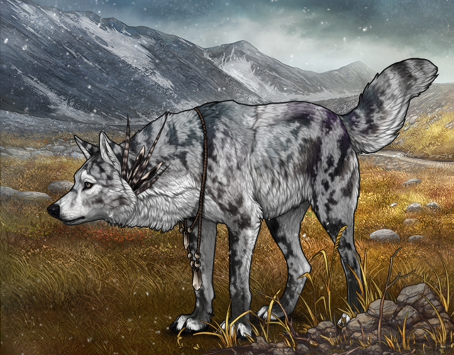 Squall;; |:| Wolvden