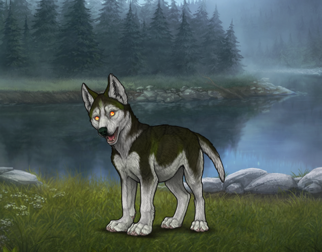 Wisp eyes |:| Wolvden