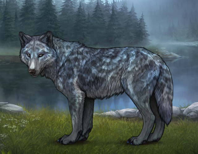 Sky T2 G1 6M |:| Wolvden