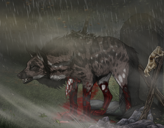 Chased Wolf Spotting - Revamped |:| Wolvden