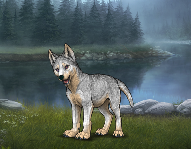 T2 3M Lunisolar Alb C cha |:| Wolvden