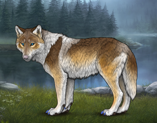 Moss along the River |:| Wolvden