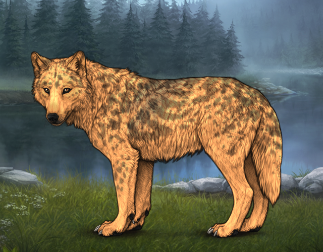 T1 5m DHazel | Deaf |:| Wolvden