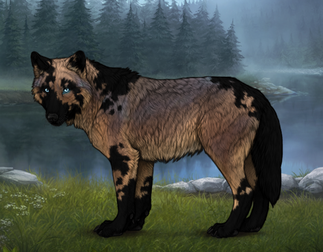 Patches Pointed |:| Wolvden