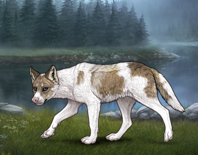 Piebald: Biewer |:| Wolvden