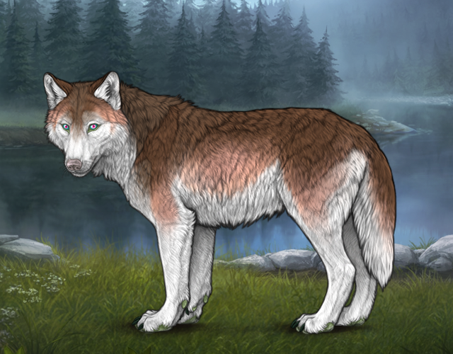 New Runt Puppy |:| Wolvden