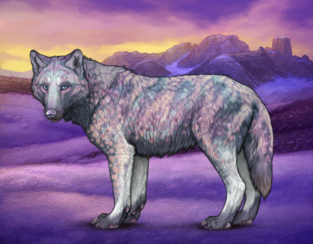 Chased Wolf Spotting - Revamped |:| Wolvden