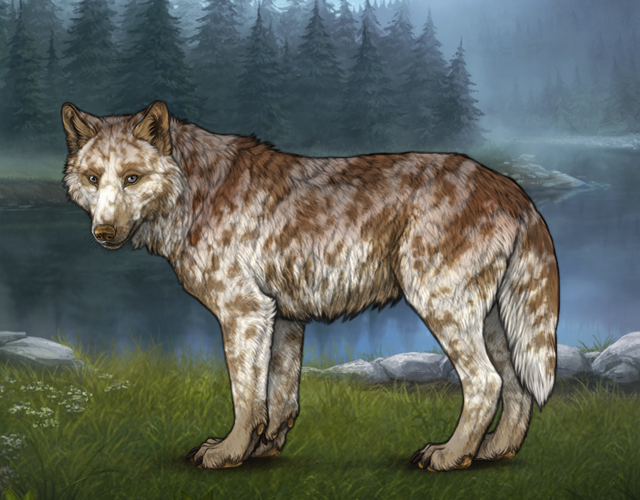 T2 Calcite Female |:| Wolvden