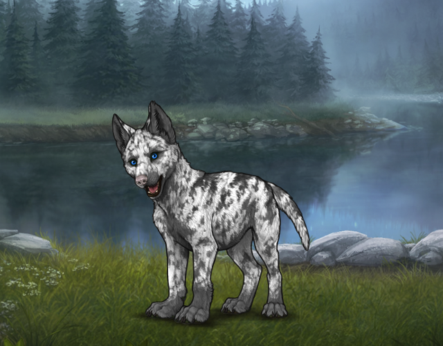 Titanium T2 4m 397 ⭐ |:| Wolvden