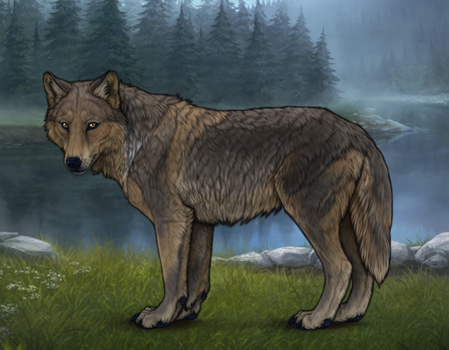 G2 DH iron |:| Wolvden