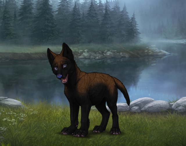 G4 blueschist 7m |:| Wolvden