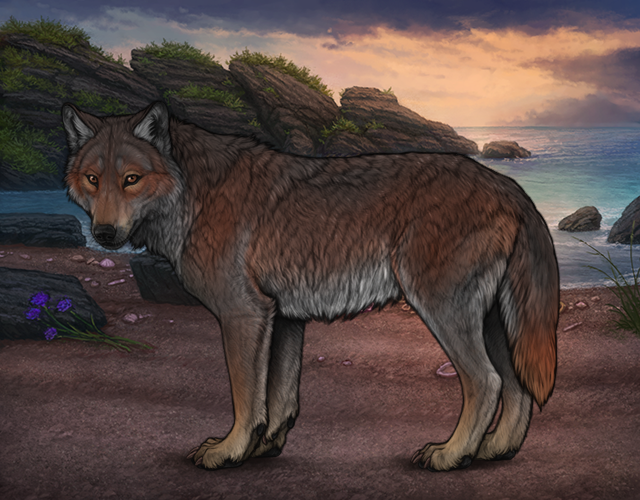 G4 Slate 3BO |:| Wolvden