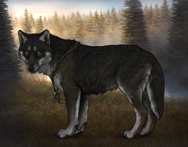 NBW Sidhe 4M 266st M |:| Wolvden