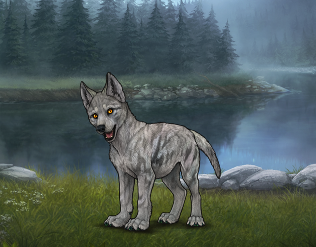 New Puppy |:| Wolvden