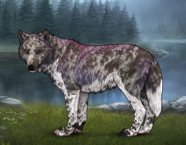 RainsFalls |:| Wolvden