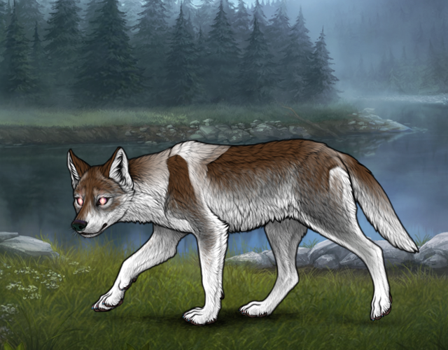 stud prospect |:| Wolvden