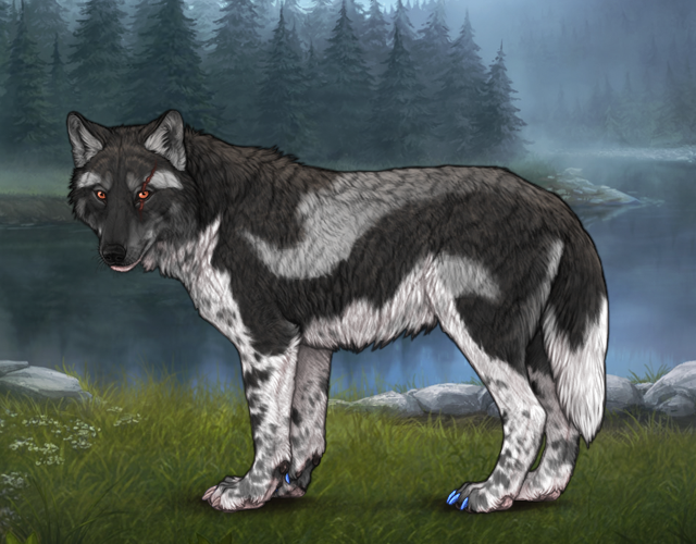 Zerdava T2 |:| Wolvden