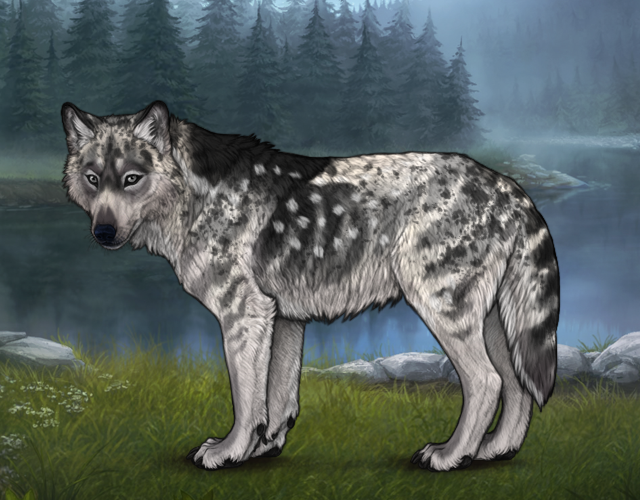 G1 Diorite |:| Wolvden