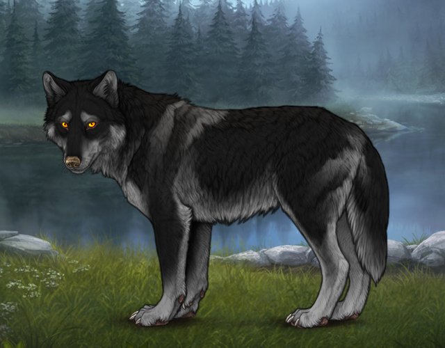 Silver Shadow |:| Wolvden