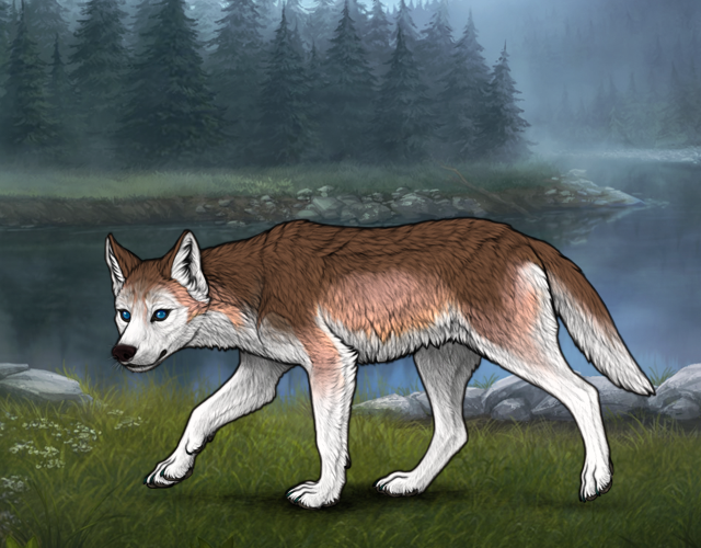 G2 lavender 7 rare m |:| Wolvden