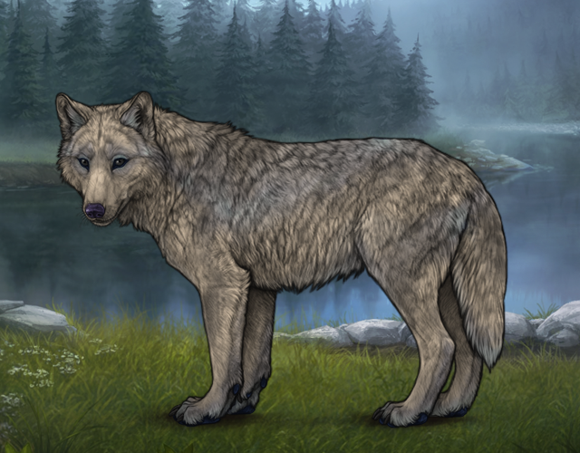 New Runt Puppy |:| Wolvden