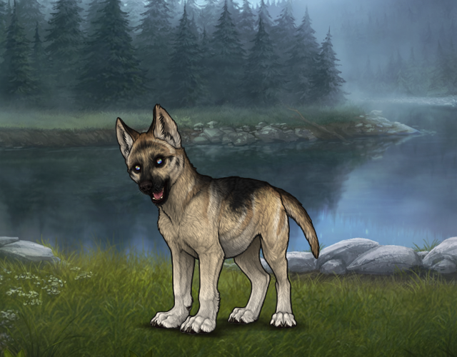 Piasa M (X) |:| Wolvden