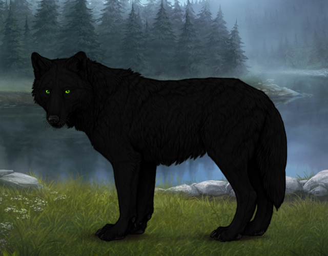 T1 Mel F |:| Wolvden