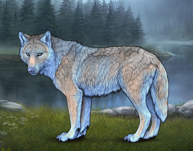 Chased Wolf Spotting - Revamped |:| Wolvden